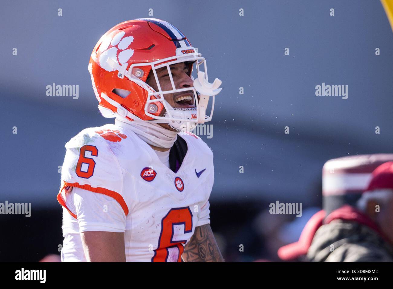 Clemson safety Ricardo Jones (6) celebrates after an interception ...