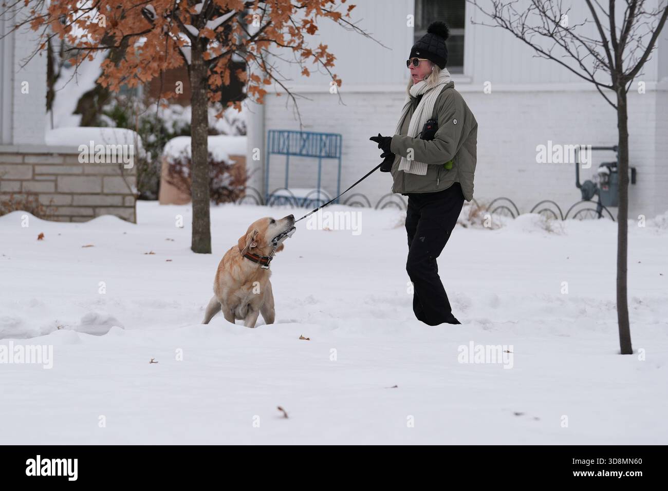 A pedestrian bundles up as she takes a walk with her dog in Glenview ...