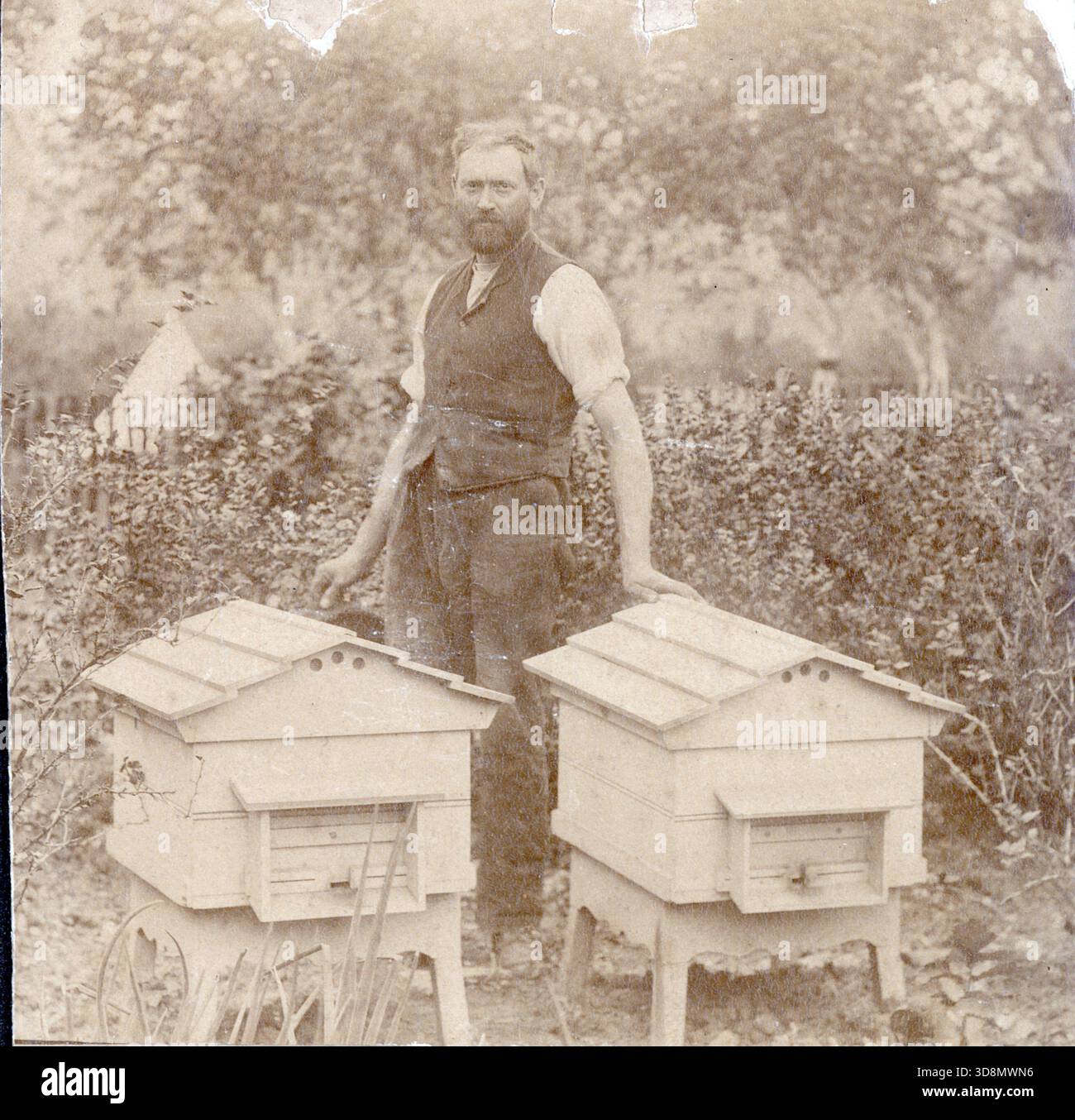 Pitched roof beehives hi-res stock photography and images - Alamy