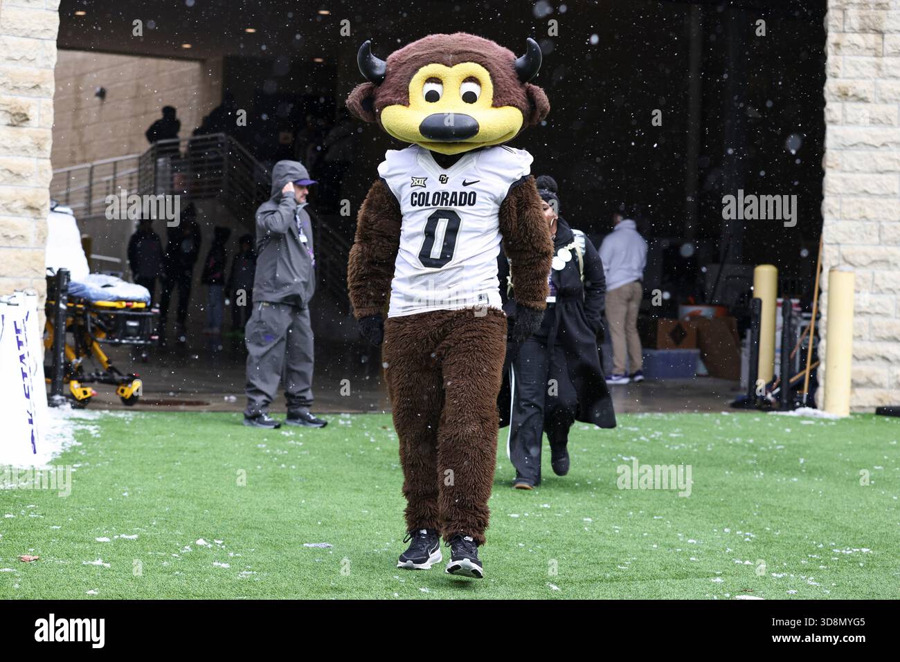 MANHATTAN, KS - NOVEMBER 29: Colorado Buffaloes mascot Chip before a ...