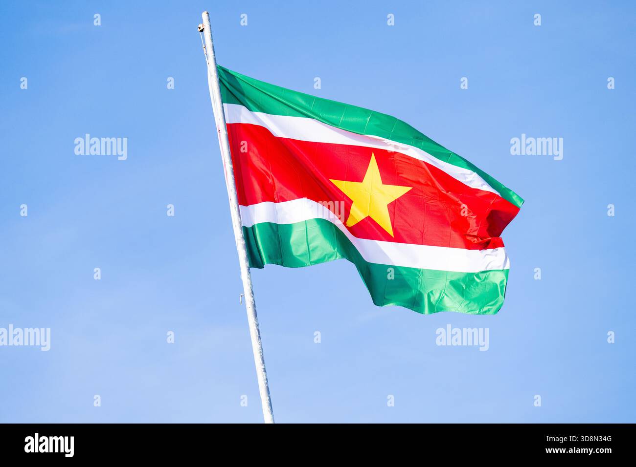 the flag of Suriname during the Welcome Ceremony at the Presidential ...