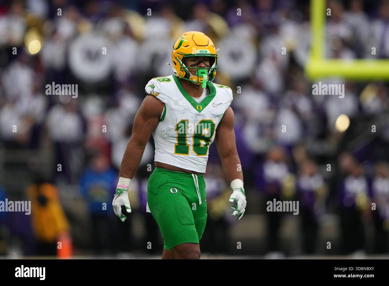 Oregon tight end Kenyon Sadiq looks on against Washington during the ...
