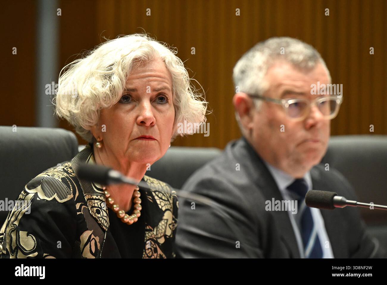Secretary of the Department of Home Affairs Stephanie Foster speaks ...
