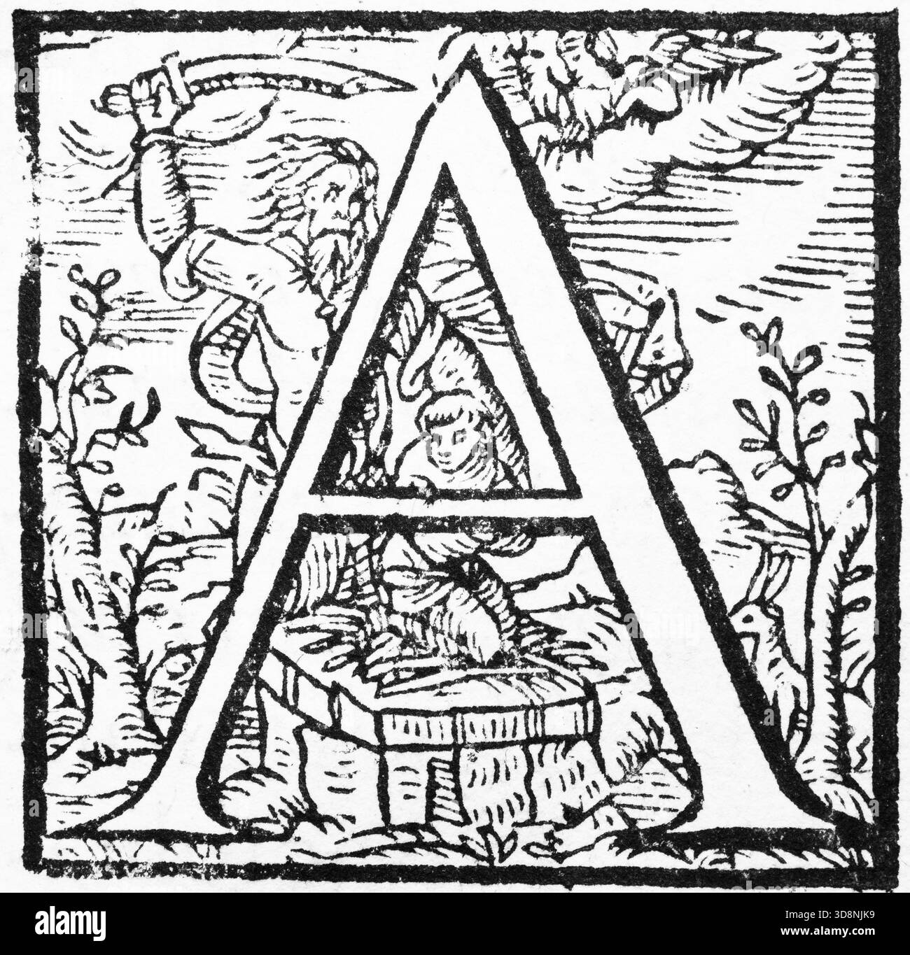 Initial, initial letter A, from: Ulysses Aldrovandi (1522-1603 ...