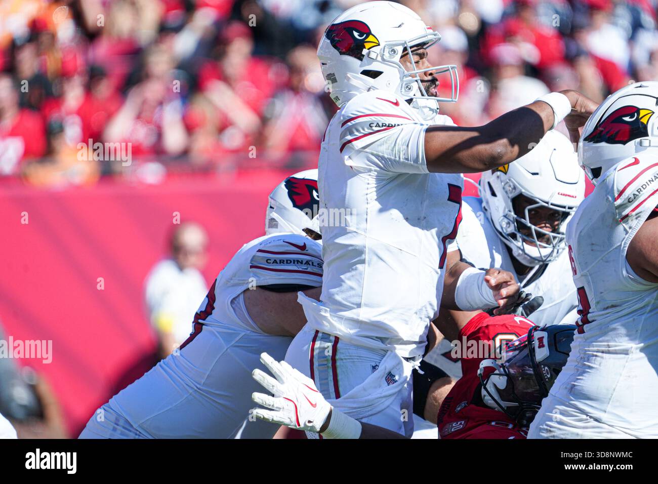 Tampa Bay, Florida, USA, November 30, 2025, Arizona Cardinals ...