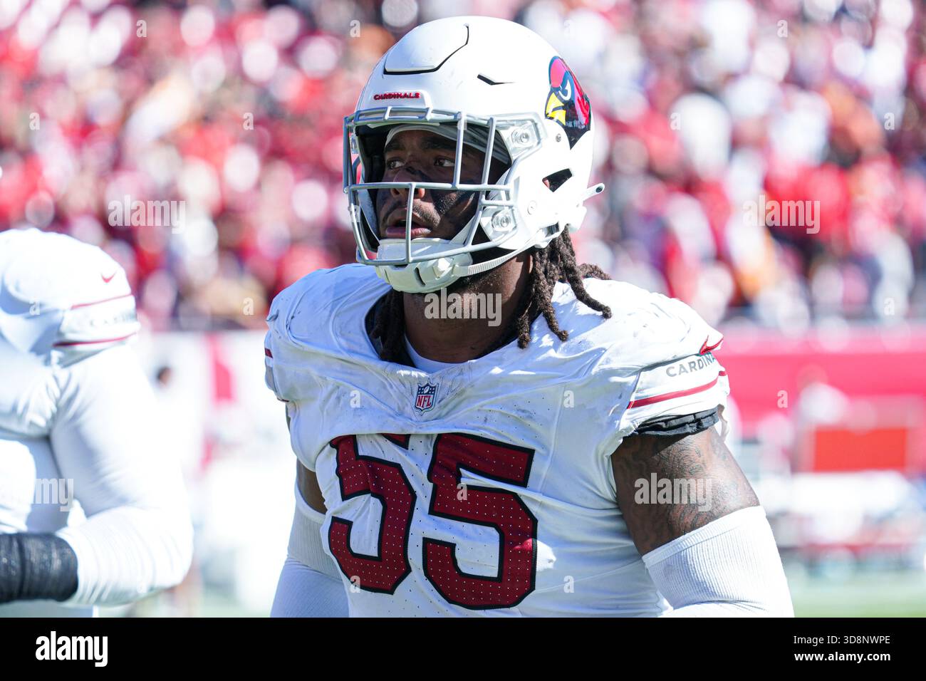 Tampa Bay, Florida, USA, November 30, 2025, Arizona Cardinals player ...