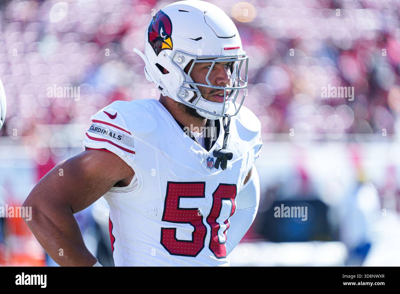 Tampa Bay, Florida, USA, November 30, 2025, Arizona Cardinals player ...