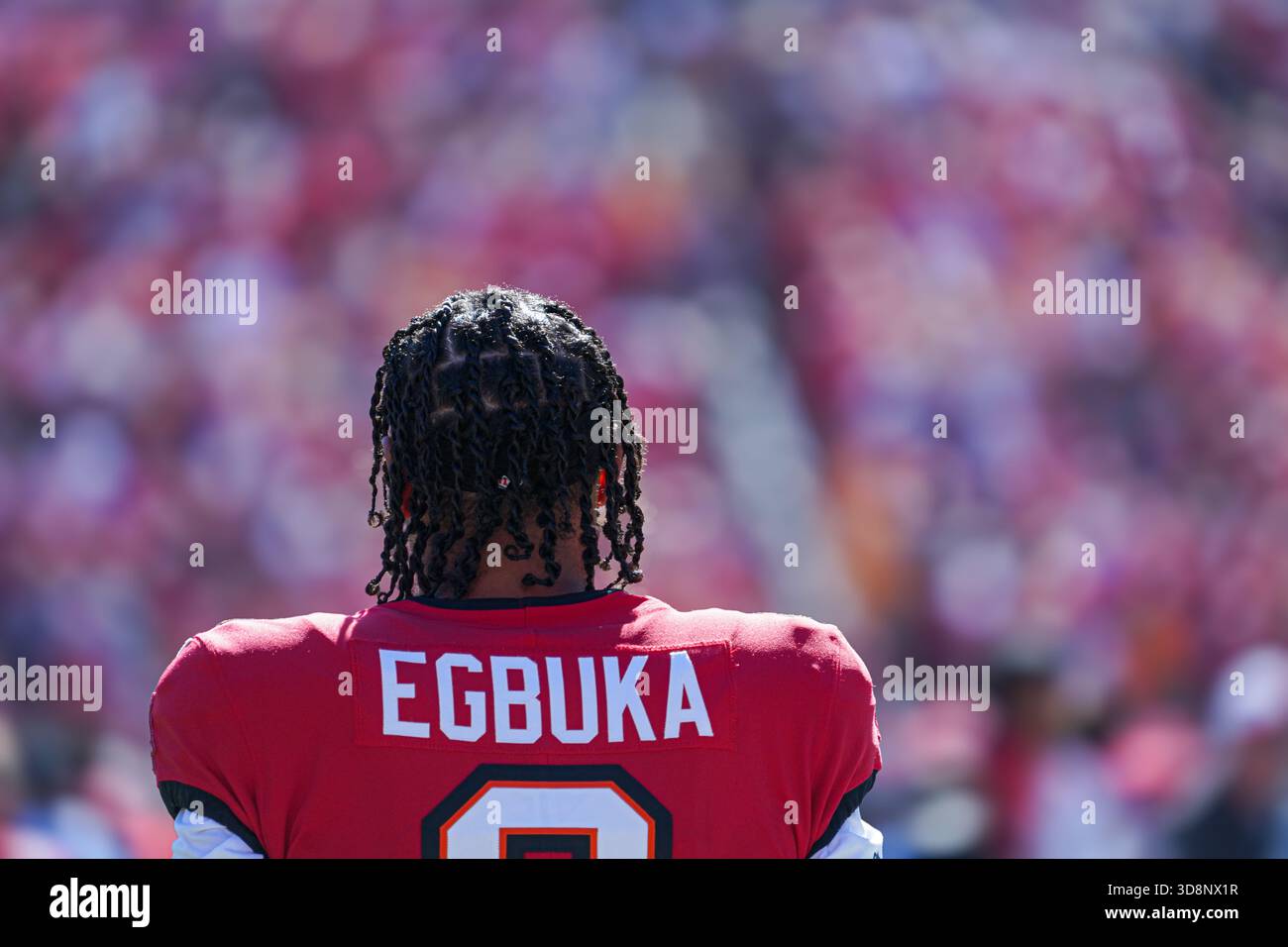 Tampa Bay, Florida, USA, November 30, 2025, Tampa Bay Buccaneers wide ...