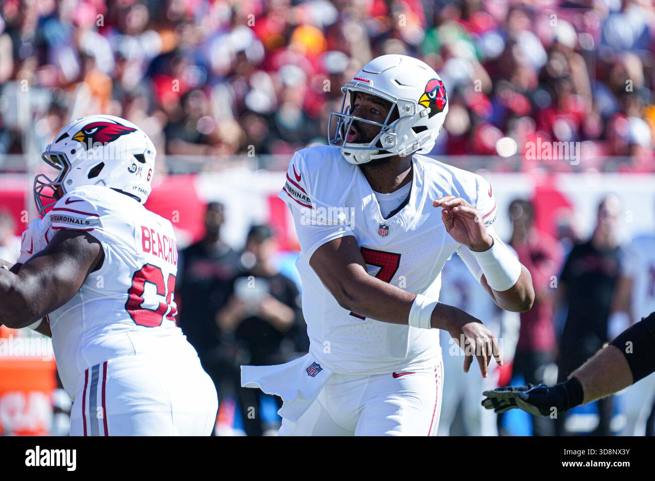 Tampa Bay, Florida, USA, November 30, 2025, Arizona Cardinals ...