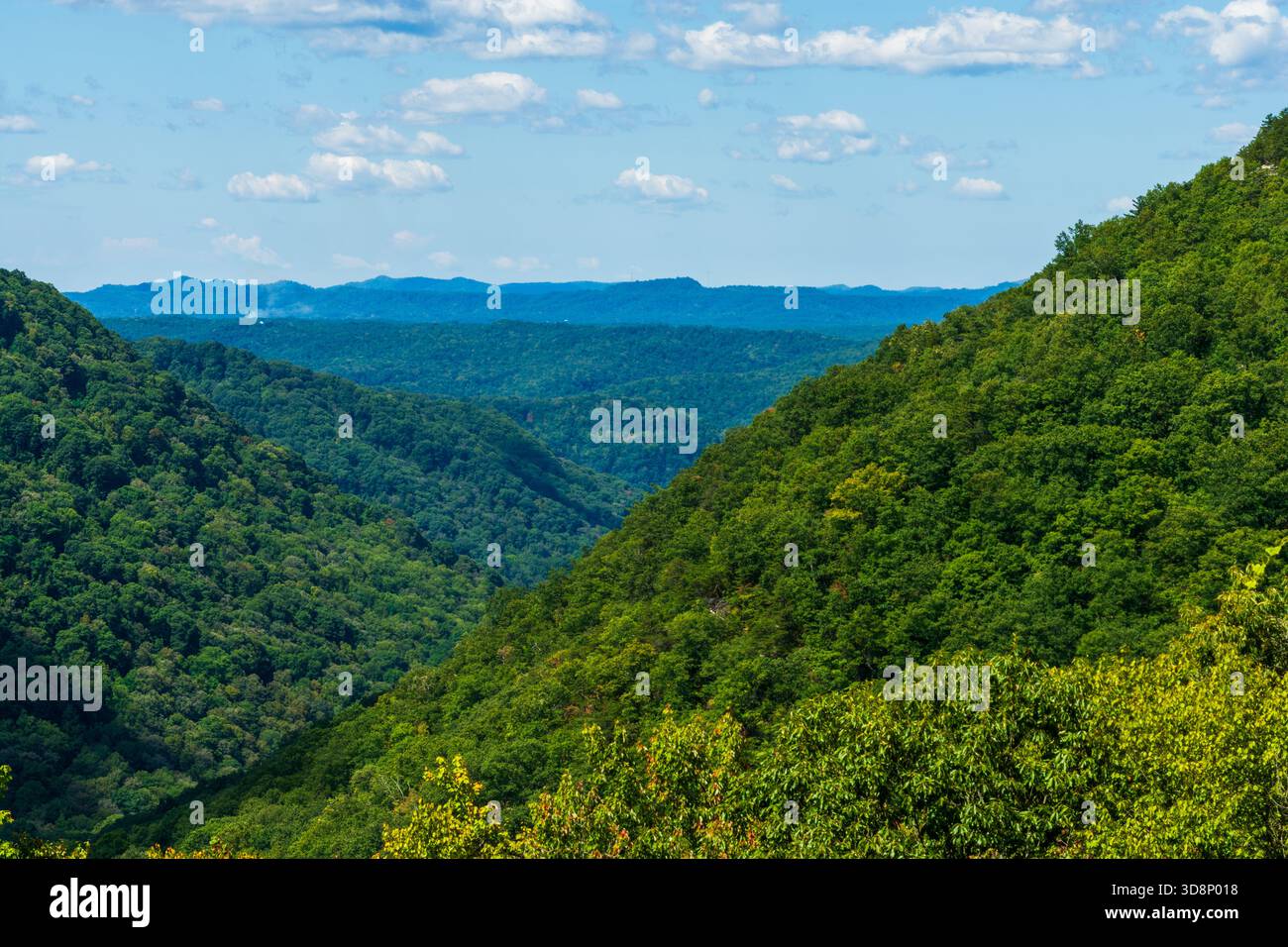 New River Gorge seen from the Canyon Rim Visitor Center Stock Photo - Alamy