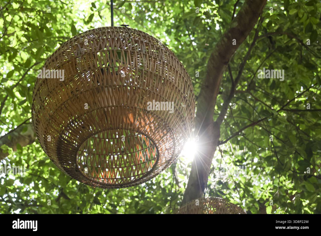 Serene hanging wicker basket lantern decoration shines with natural ...
