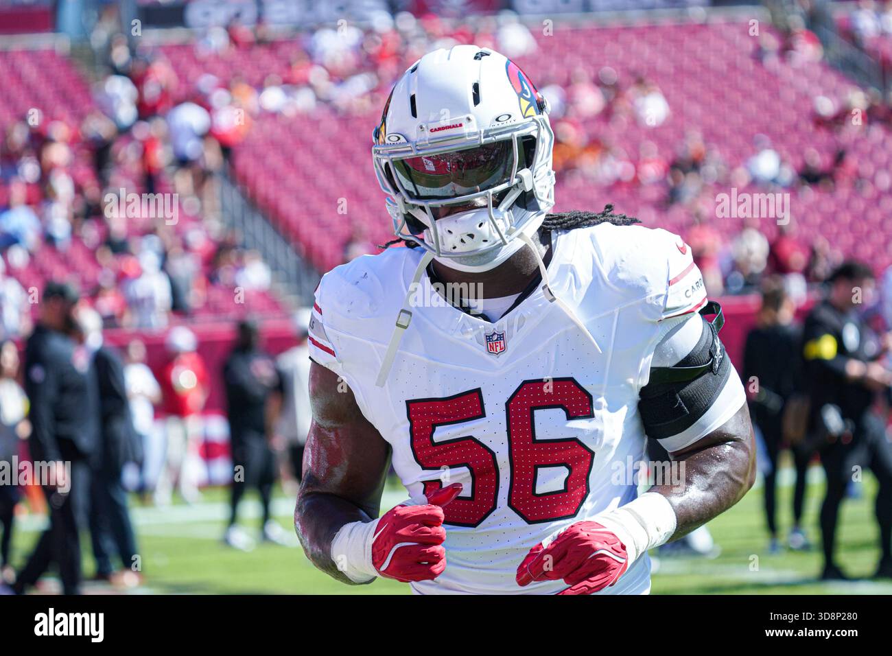 Tampa Bay, Florida, USA, November 30, 2025, Arizona Cardinals player ...