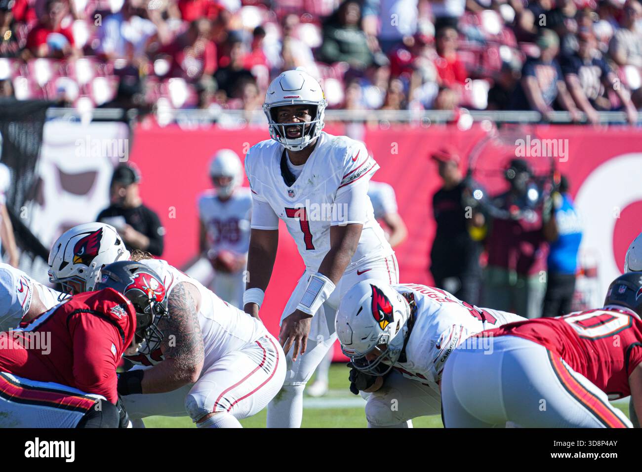 Tampa Bay, Florida, USA, November 30, 2025, Arizona Cardinals ...