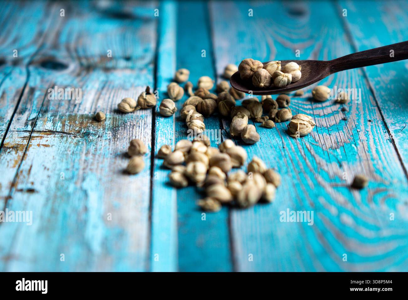 Dry Cardamom (kapulaga, Amomum compactum, cardamum). Cardamom are used ...