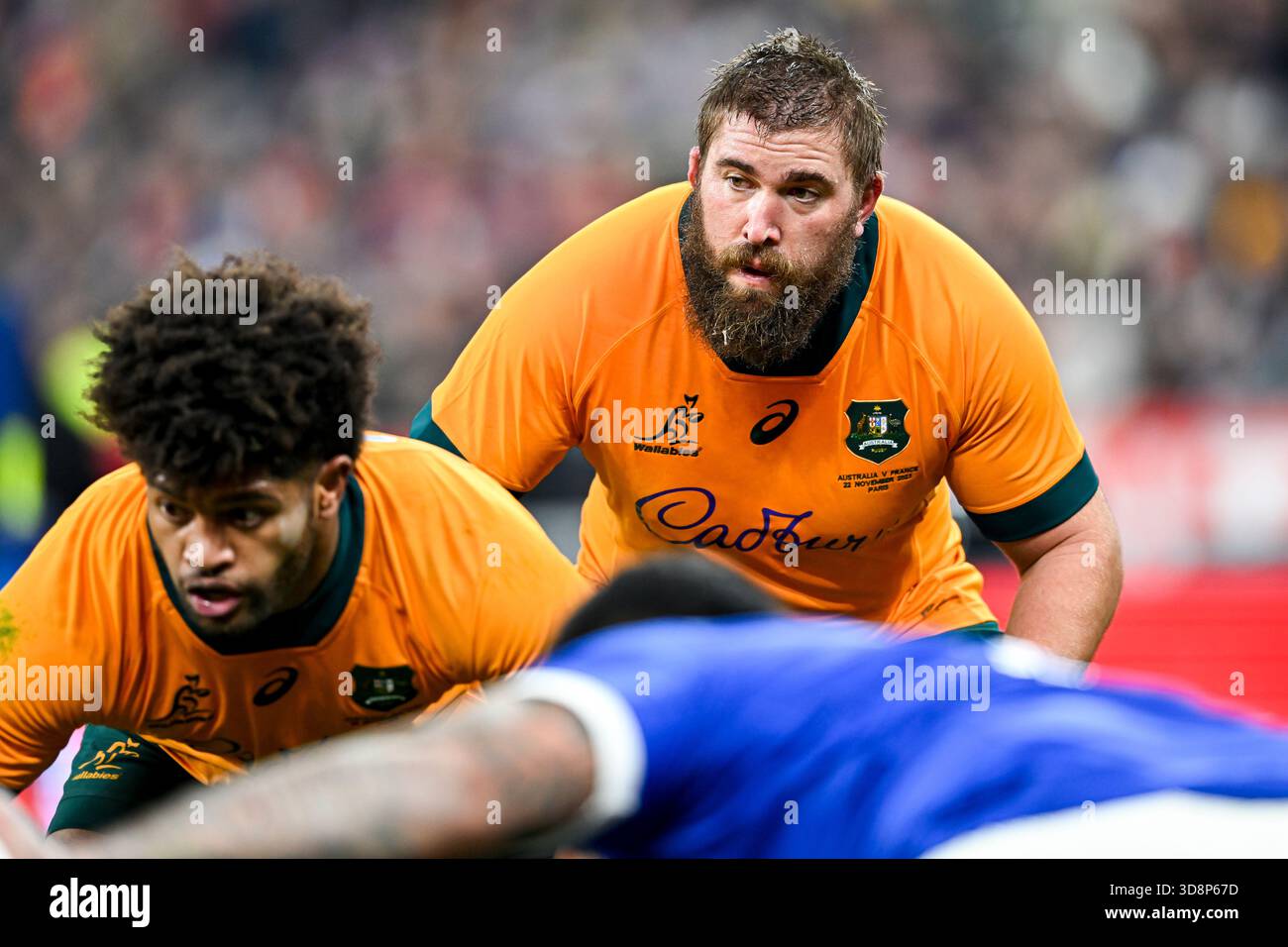 Aidan Ross during the Quilter Nations Series rugby union match France VS Australia (Wallabies ...