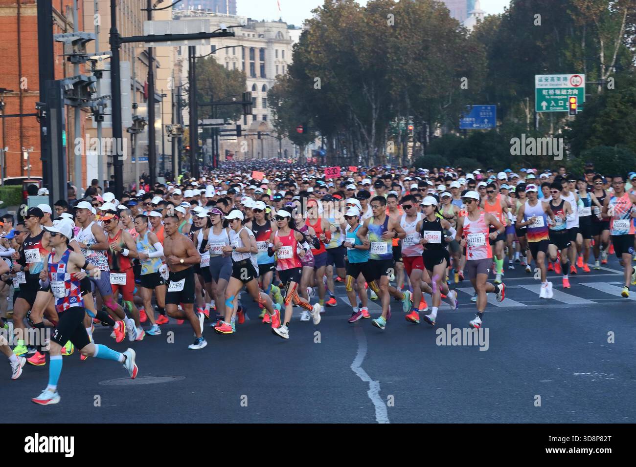 The 2025 Shanghai Marathon kicks off in Shanghai, China, 30 November ...