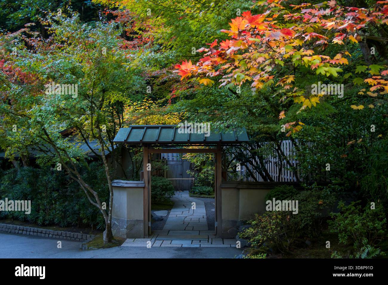 Entry way at Portland Japanese gardens with colorful foliage Stock ...