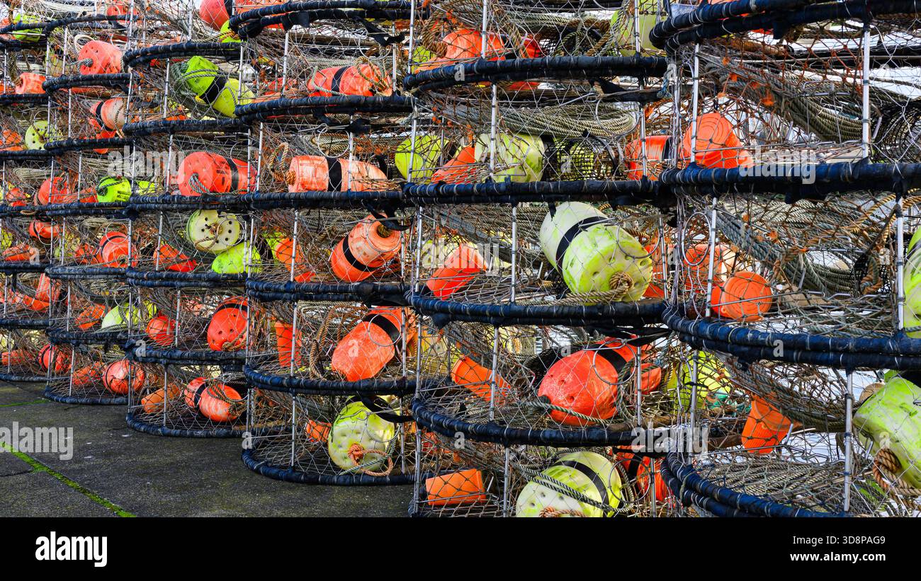 Row fishing net traps hi-res stock photography and images - Alamy
