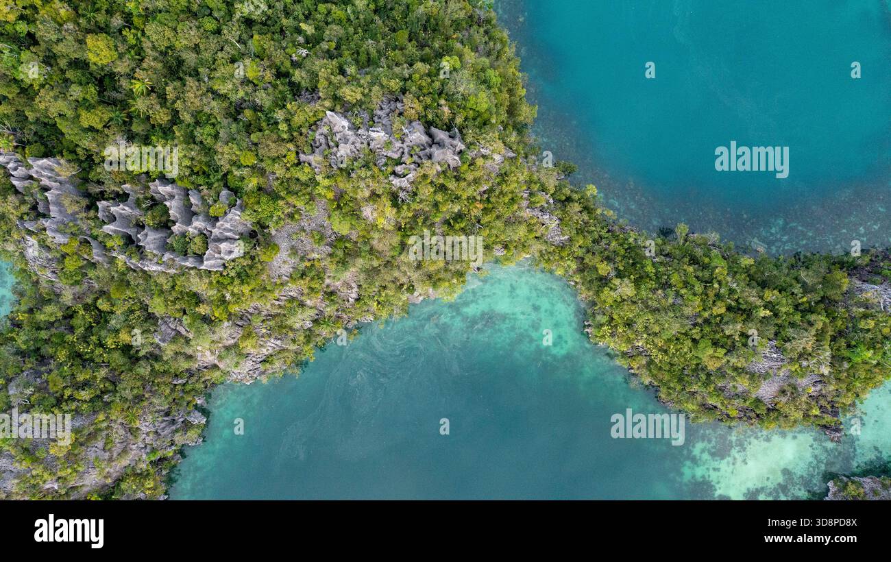Aerial view of hidden lagoons and dense green trees growing on karst ...