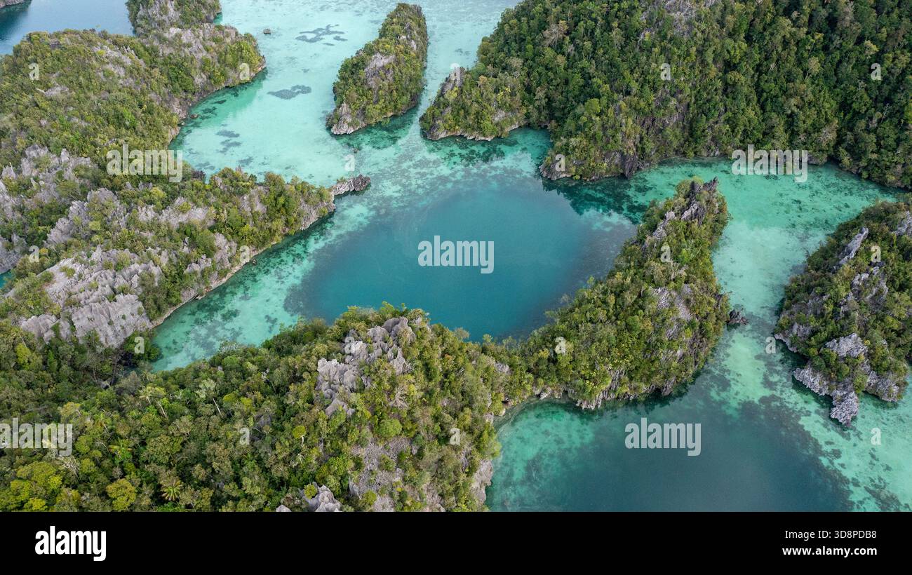 Aerial view of hidden lagoons and dense green trees growing on karst ...