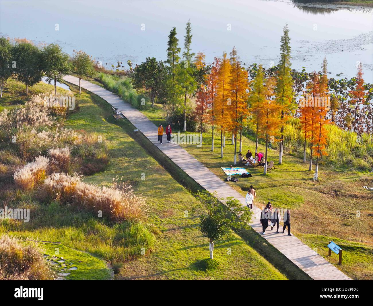 Aerial photo shows the winter scenery at a wetland park in Chongqing ...