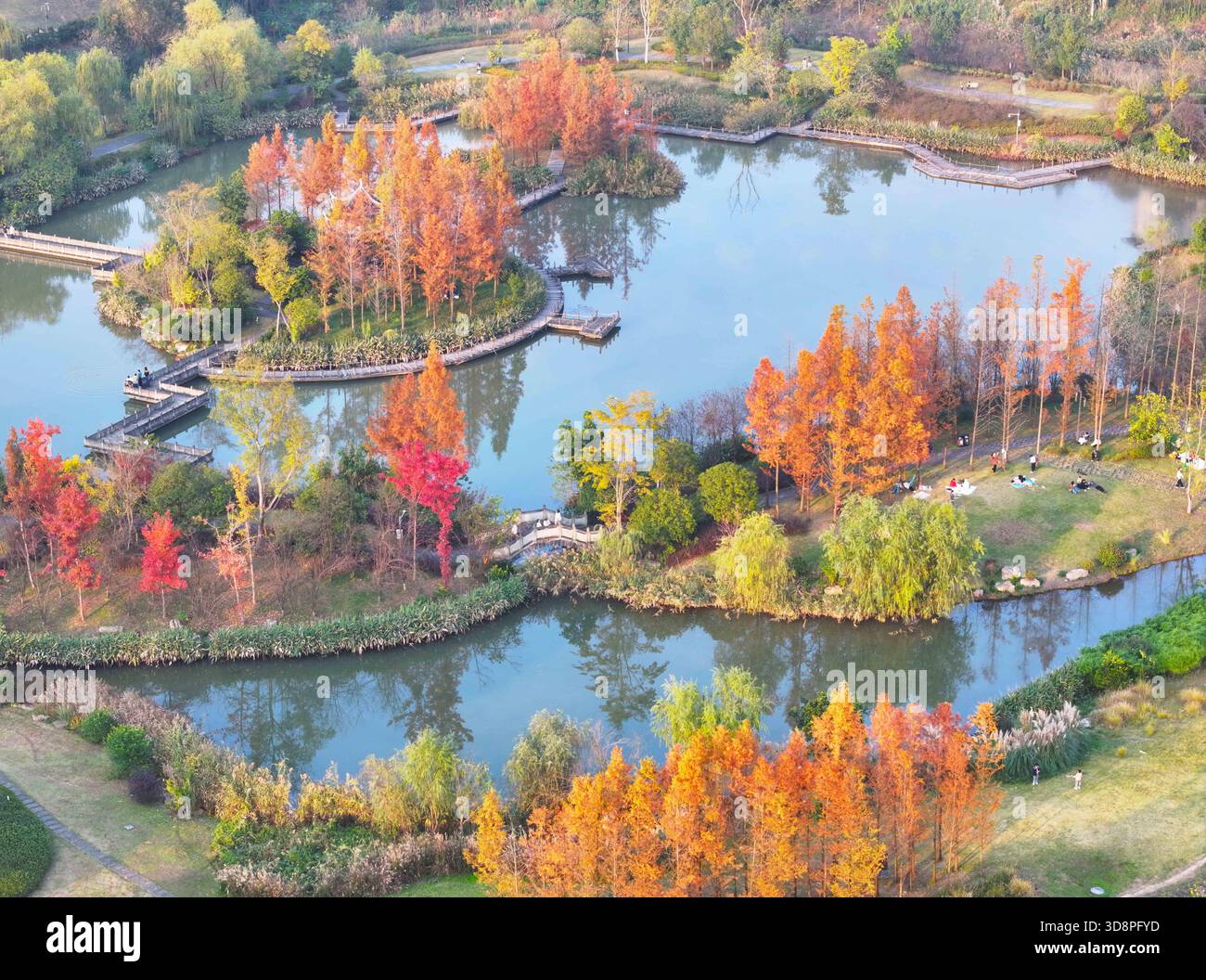 Aerial photo shows the winter scenery at a wetland park in Chongqing ...