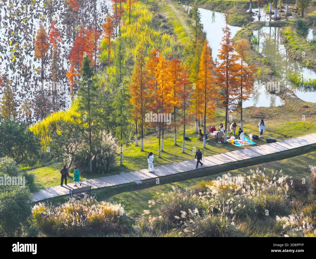 Aerial photo shows the winter scenery at a wetland park in Chongqing ...