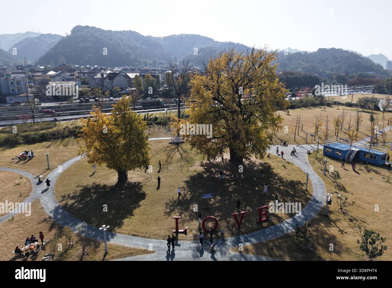 An ancient ginkgo tree attracts people in Shoujiang Village, Hangzhou ...