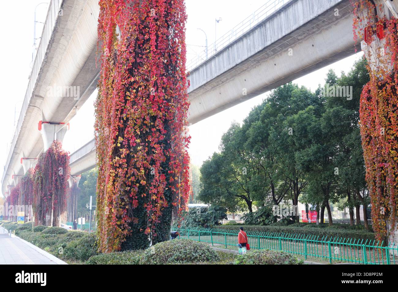 The elevated bridge is covered with Virginia creepers in Shanghai ...