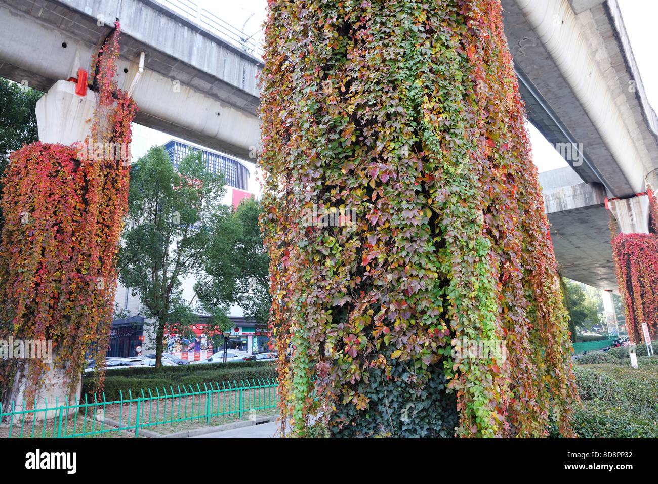 The elevated bridge is covered with Virginia creepers in Shanghai ...