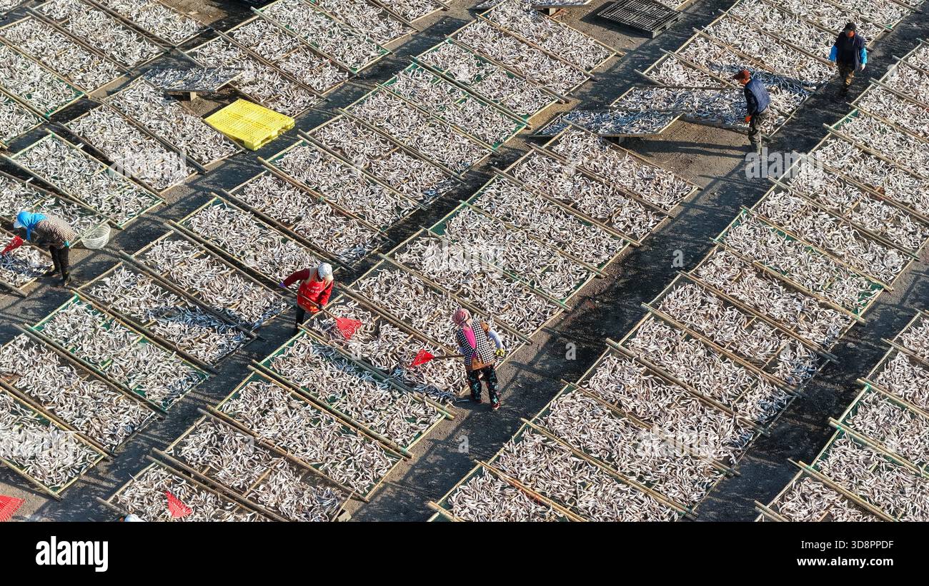 Aerial photo shows fishmen drying fish in the sun in Rizhao City, east ...