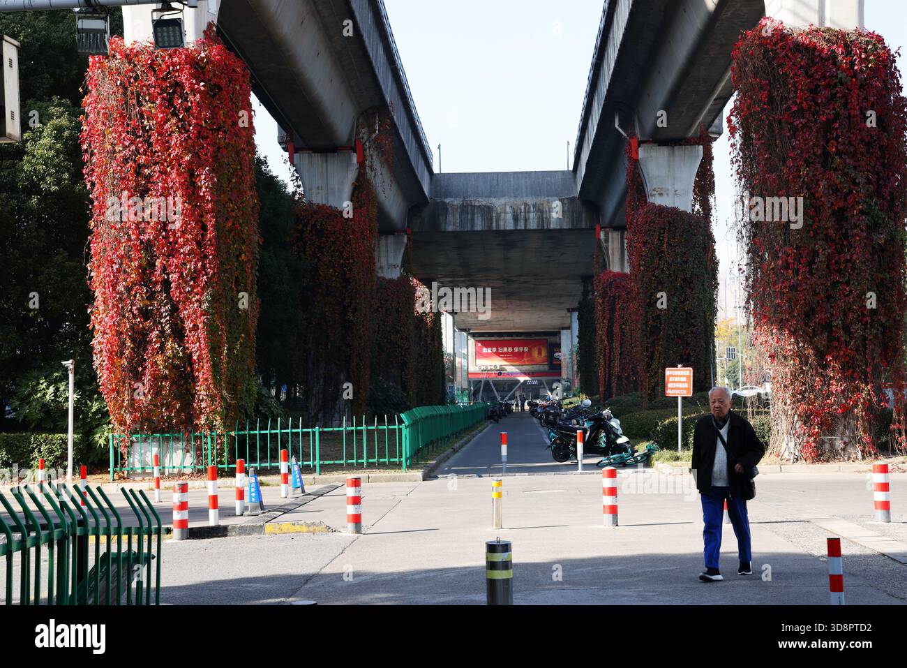 The elevated bridge is covered with Virginia creepers in Shanghai ...