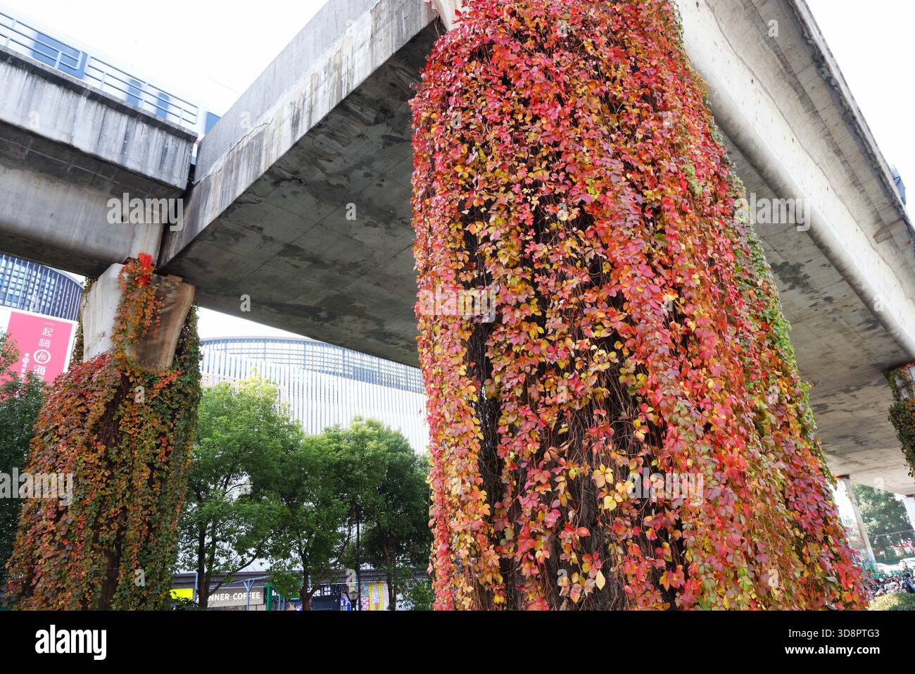 The elevated bridge is covered with Virginia creepers in Shanghai ...