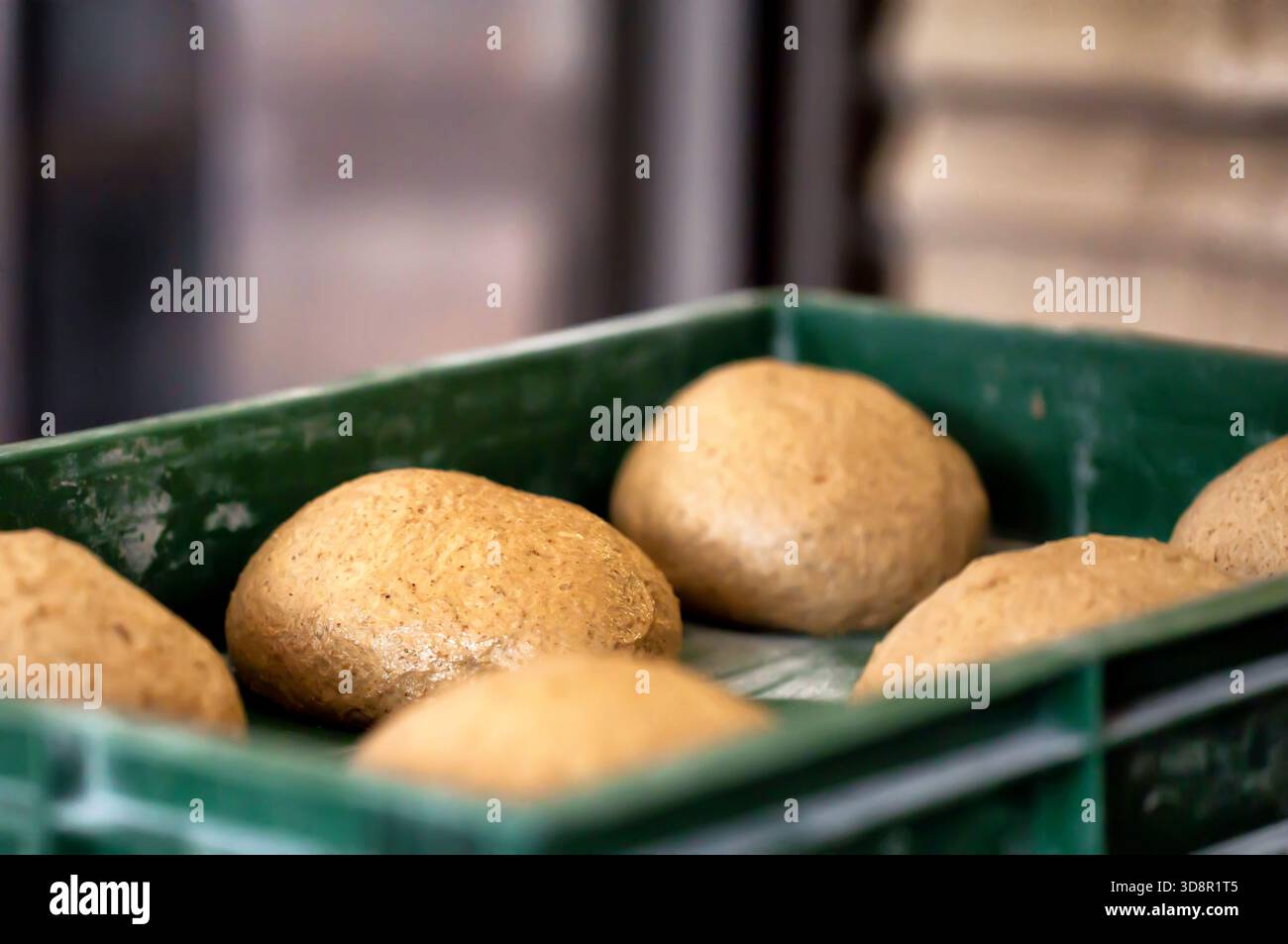 Close up view of raw bread dough portions placed in plastic crate ...