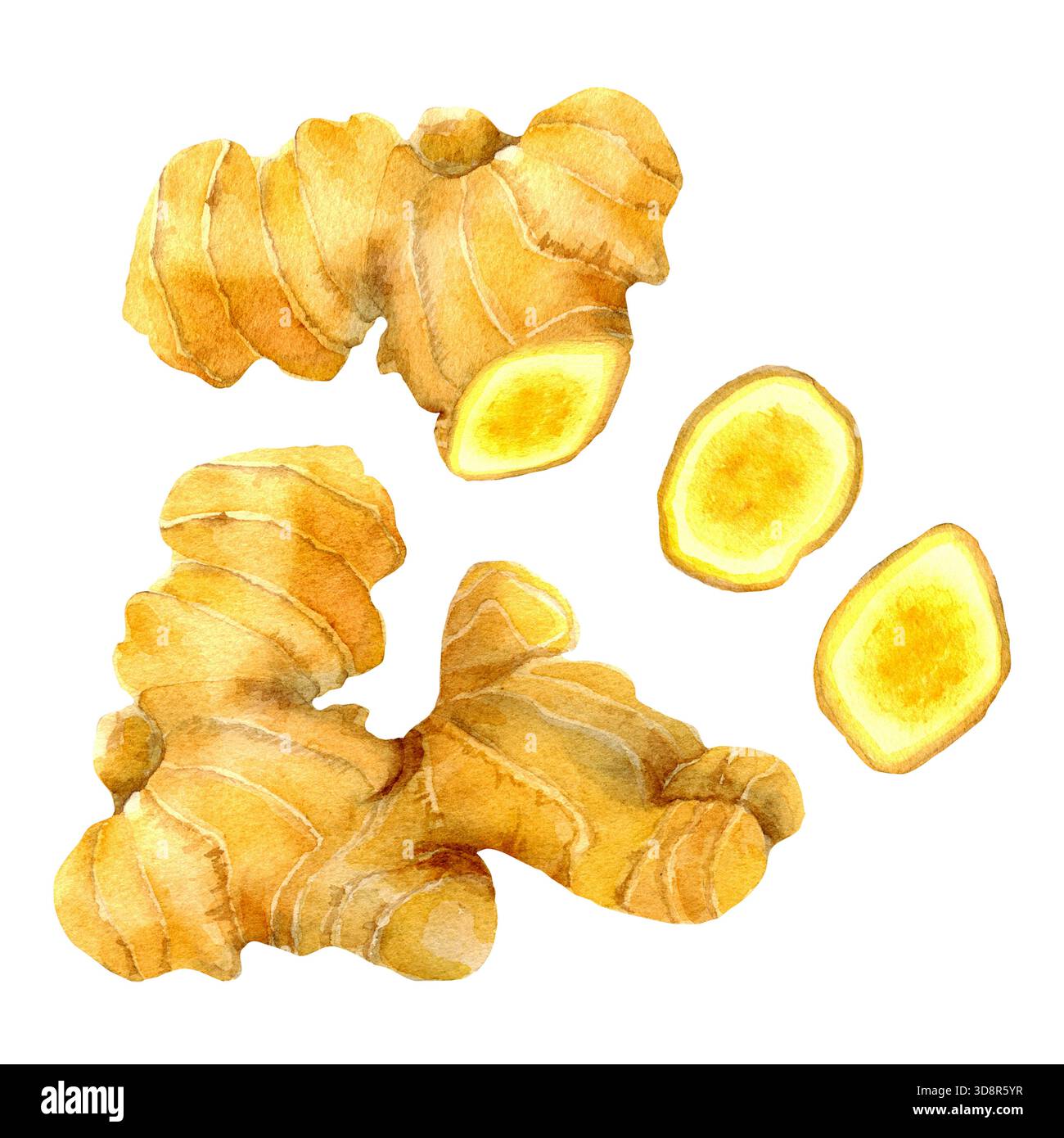 Watercolor winter asia Cut Out Stock Images & Pictures - Alamy