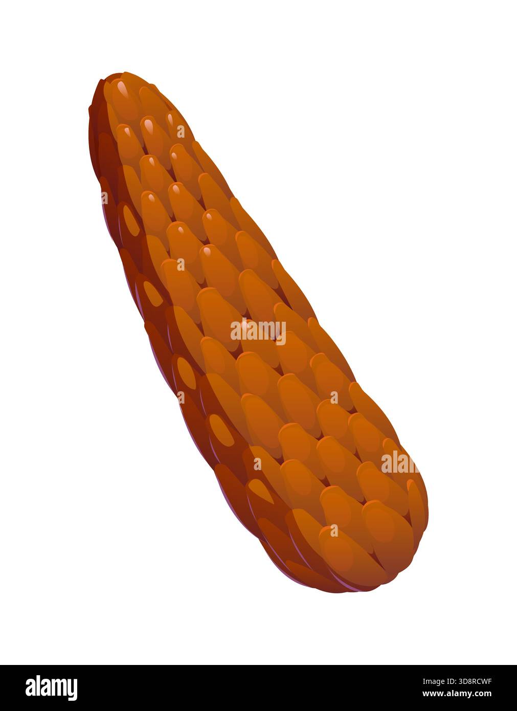 Background brown christmas cone Stock Vector Images - Alamy