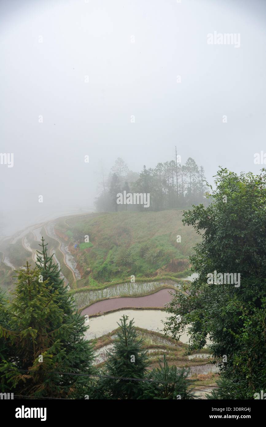 view at famous rice terraces of Yuangyang in Yunnan, China Stock Photo ...