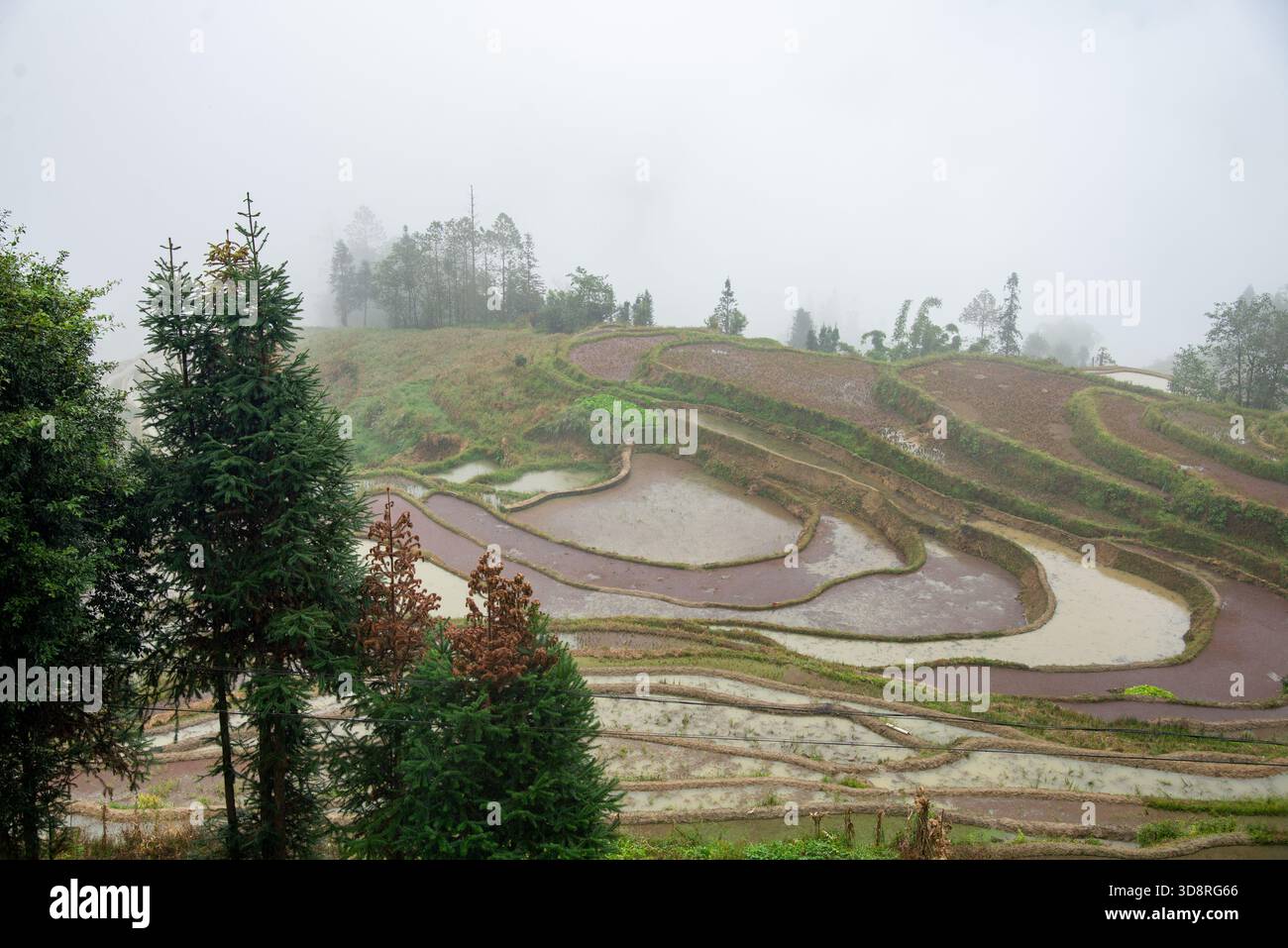 view at famous rice terraces of Yuangyang in Yunnan, China Stock Photo ...