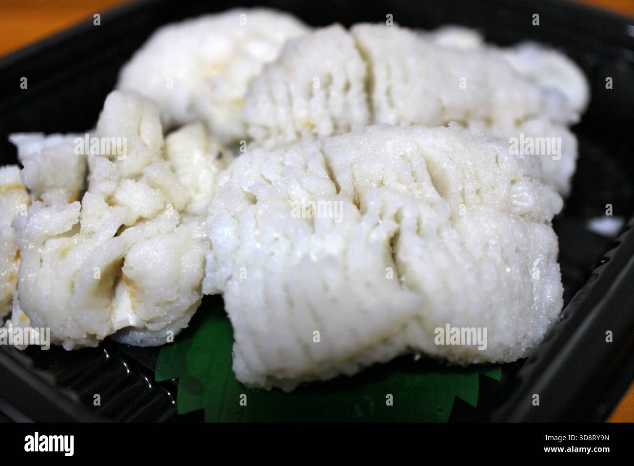 Darkfin pike eel hi-res stock photography and images - Alamy