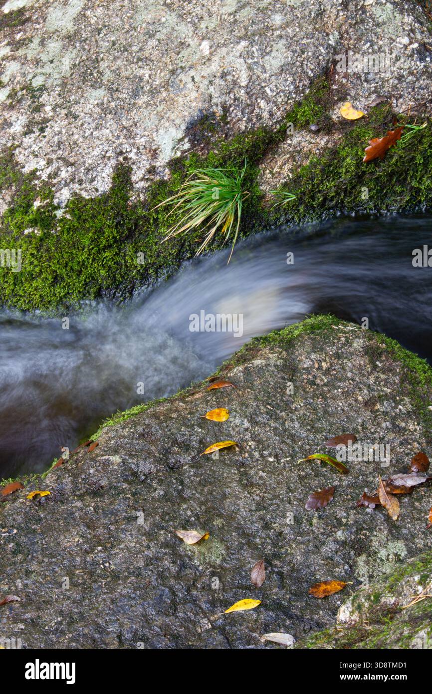 birds eye view of a small wild water flow (portrait) at Watersmeet ...
