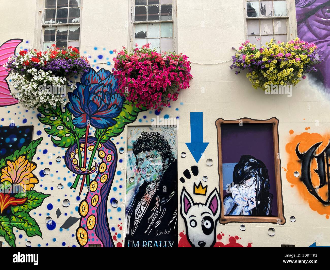 Guernsey street art hi-res stock photography and images - Alamy