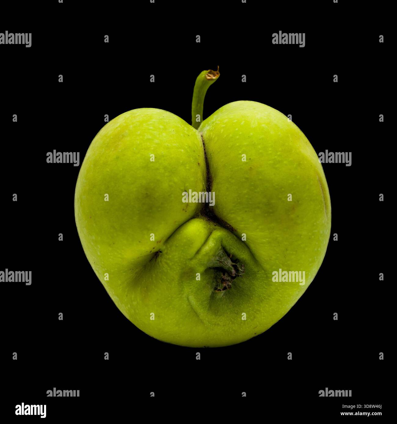 Green apple with unusual shape isolated against a black background ...