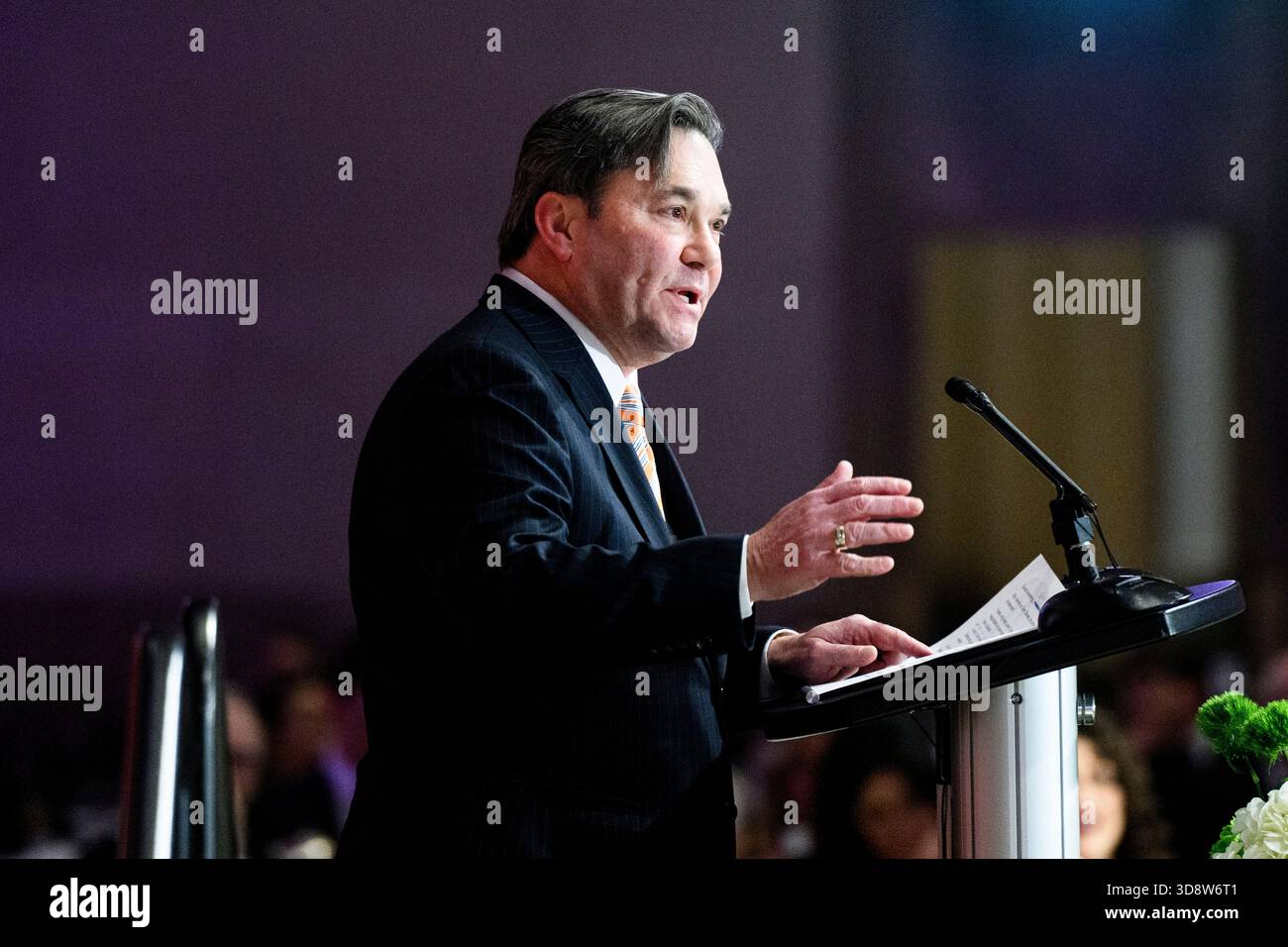 NDP Interim Leader Don Davies speaks during the Parliamentary Press ...