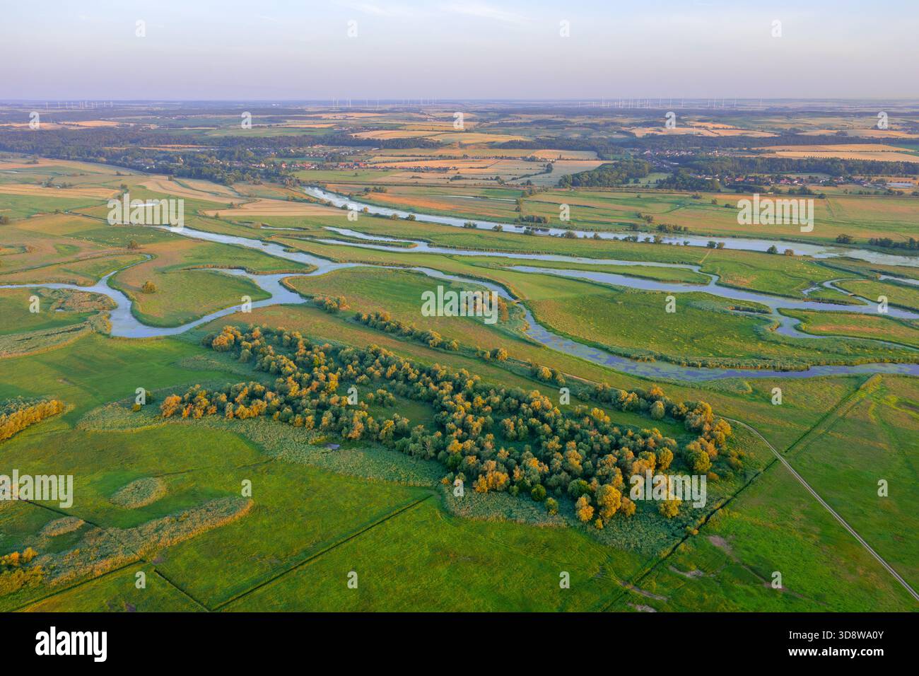 Aerial view over the Oder river in the German-Polish nature reserve ...