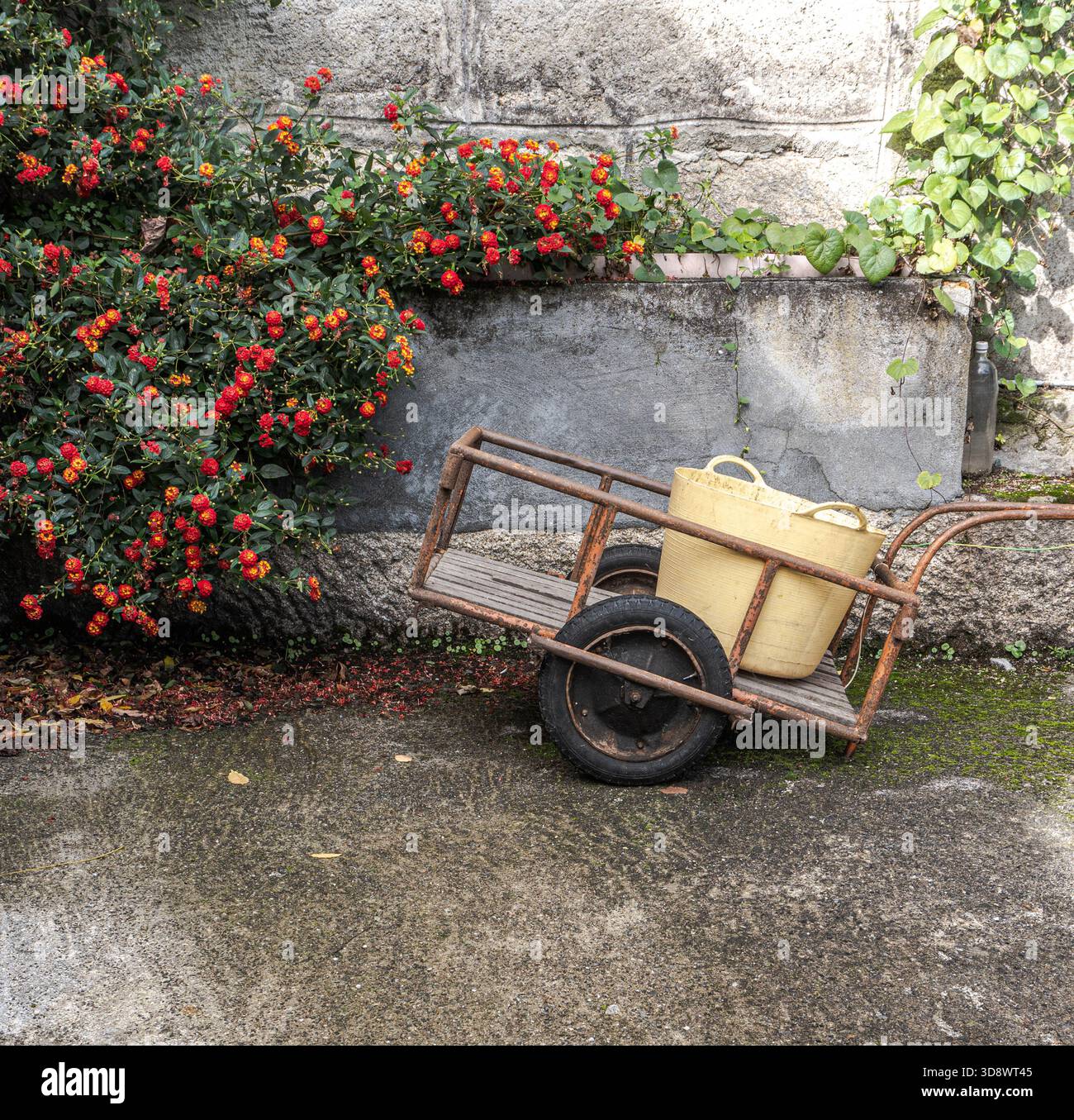 Antique wheelbarrow with bucket Stock Photo - Alamy