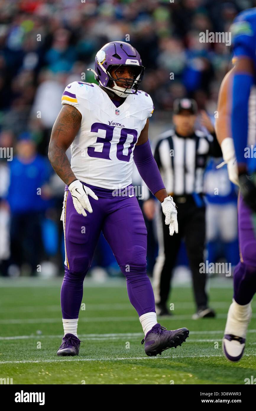 Minnesota Vikings fullback C.J. Ham (30) looks on during an NFL ...