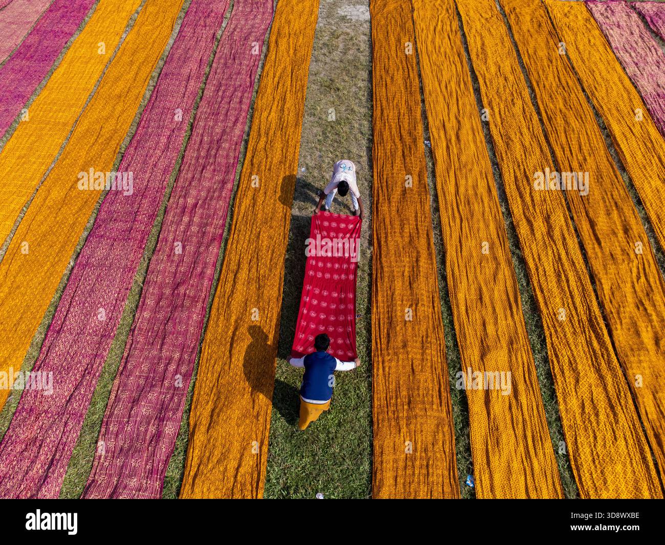 Vibrant visual division hi-res stock photography and images - Alamy