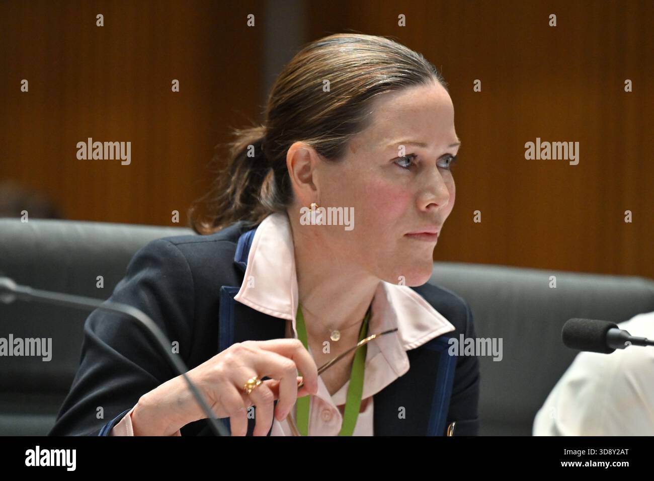 Department of Veteran’s Affairs Secretary Alison Frame during Senate ...