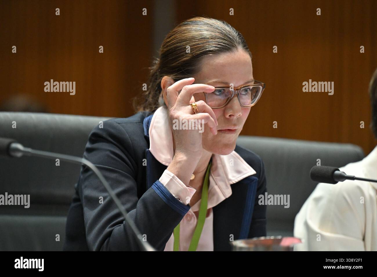 Department of Veteran’s Affairs Secretary Alison Frame during Senate ...
