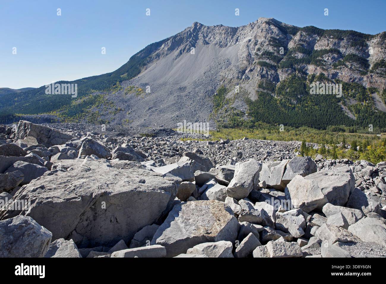 Turtle Mountain and tens of millions of tonnes of limestone rock over ...